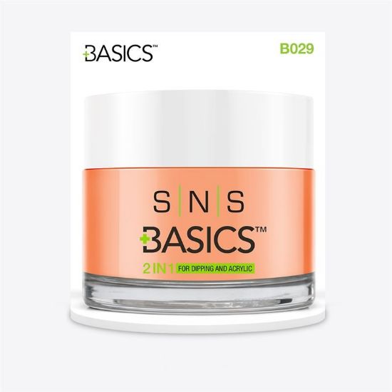 SNS BASICS DIPPING AND ACRYLIC POWDER B29 - 168 Holdings